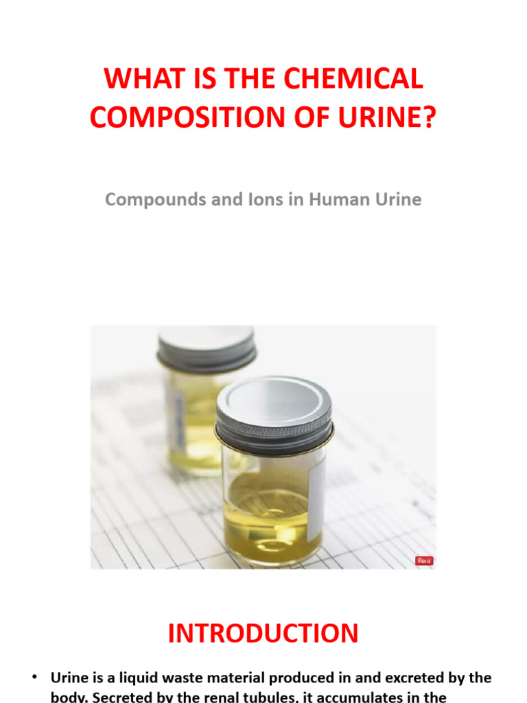 Chemical Composition of Urine | PDF