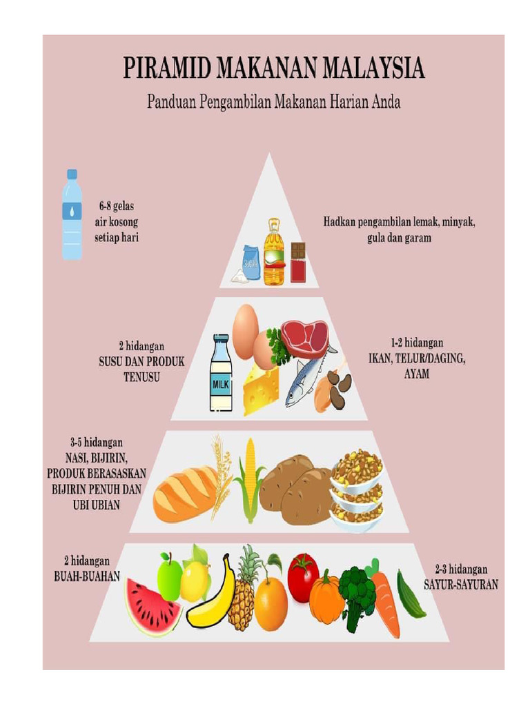 Piramid Makanan | PDF