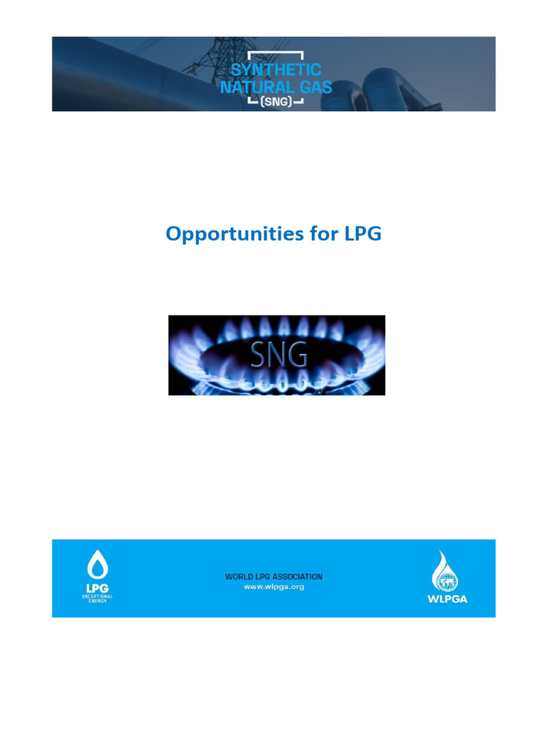 SNG The LPG Opportunity | PDF