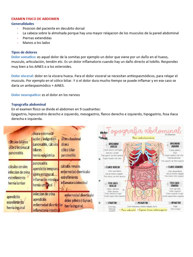 Abdomen Semiologia | PDF | Cirrosis | Abdomen