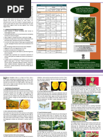 Weed Identification Guide | PDF | Clover | Leaf