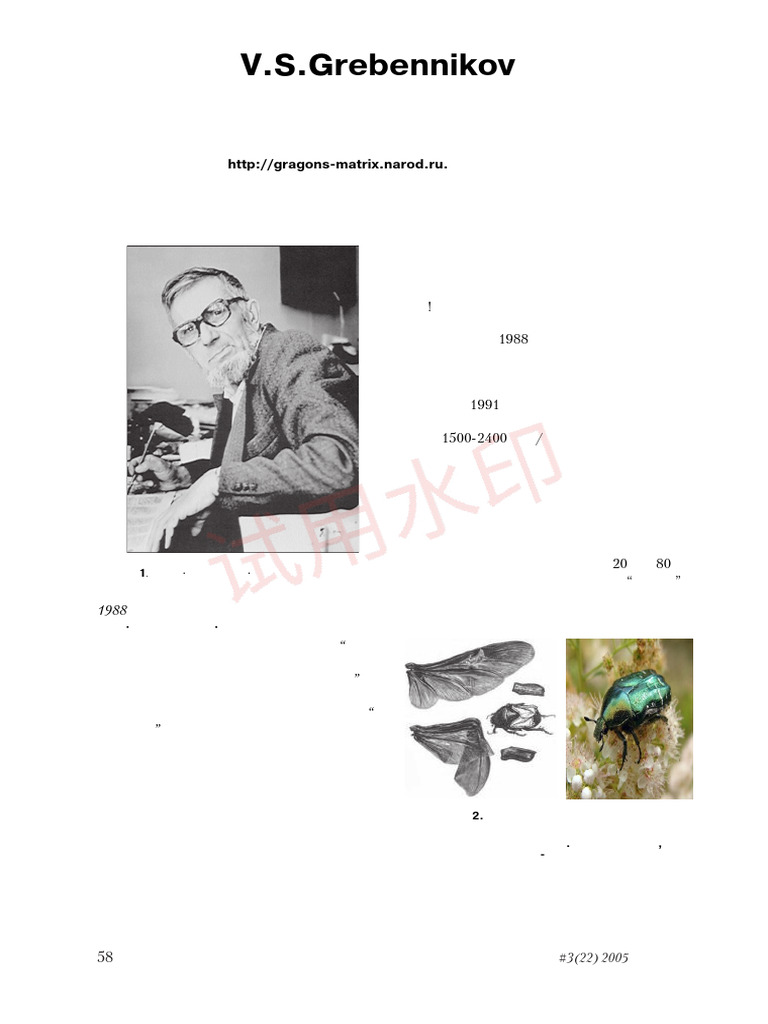 11（未校对版）格雷本尼科夫飞机解析中文an anti gravity platform of v s grebennikov | PDF
