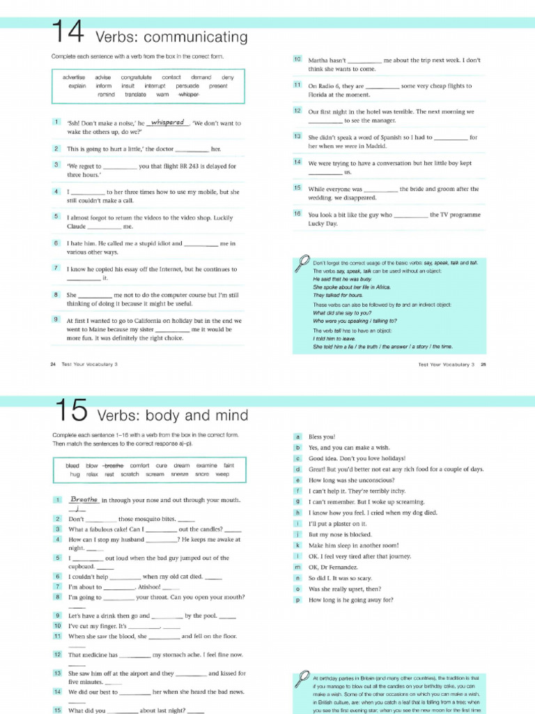 Penguin Test Your Vocabulary 3 | PDF