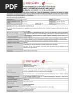 Paec (Ejemplo) | PDF