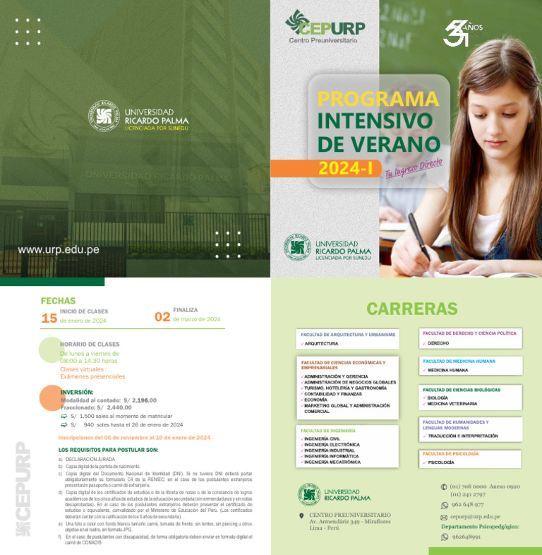Diptico Programa Intensivo de Verano 2024 I Final 1 PDF | PDF