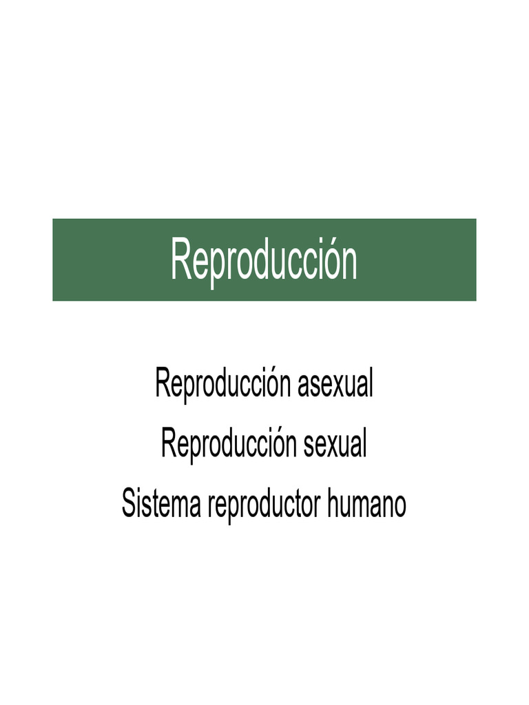 T14 Reproduccion | PDF | Sistema reproductivo | Sexo