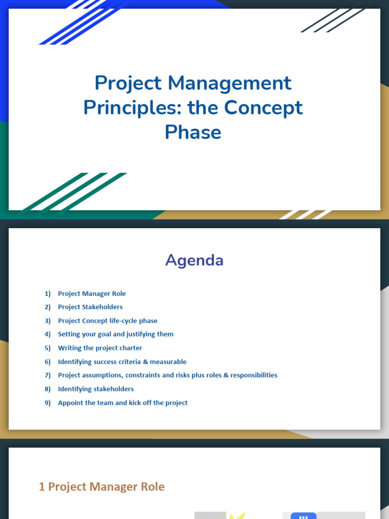 2 Project Management Principles - The Concept Phase | PDF | Feasibility Study | Project Management