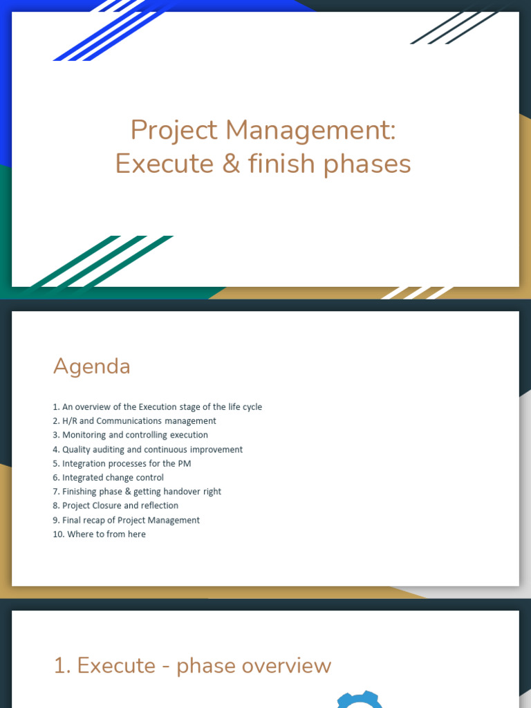 Project Management - Execute & Finish Phases | PDF | Project Management | Quality Assurance