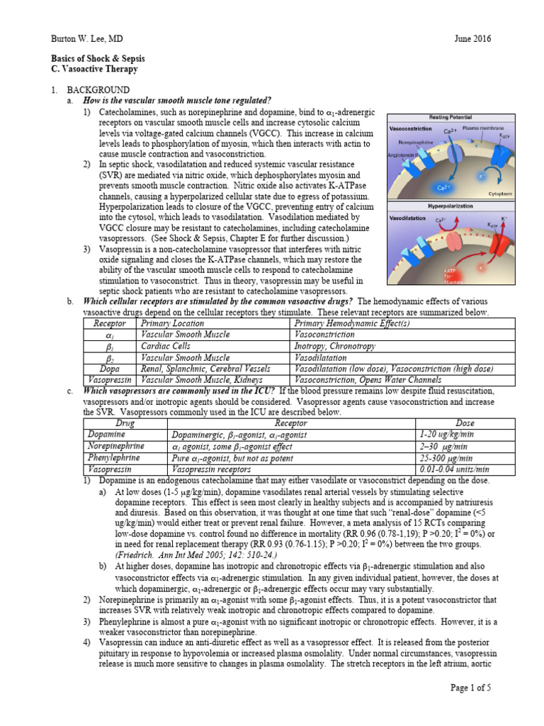 Shock & Sepsis: Vasoactive Therapy | PDF | Vasodilation | Shock ...