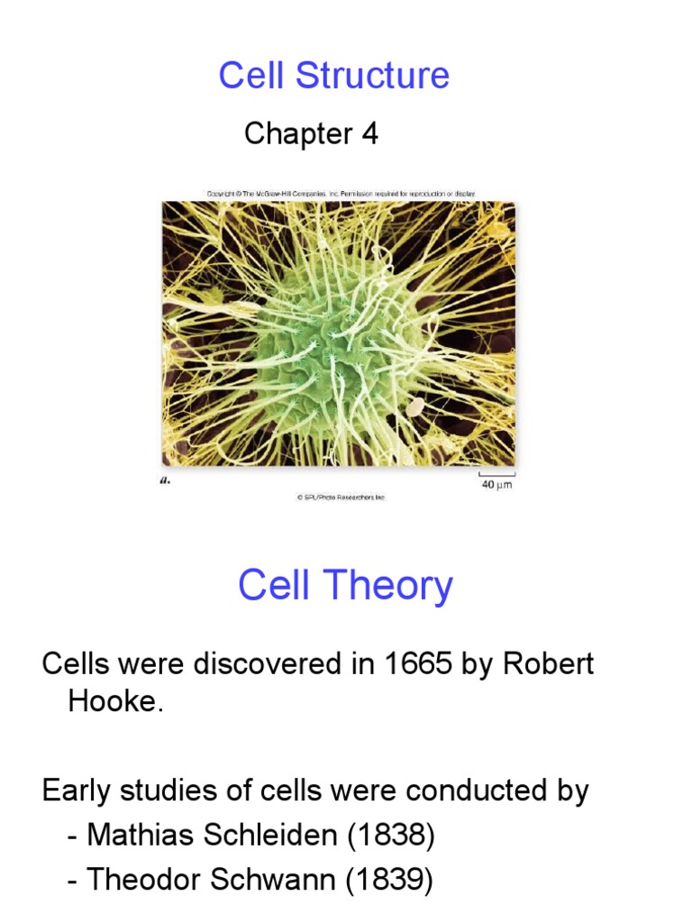 Raven8e chp4-1 | PDF