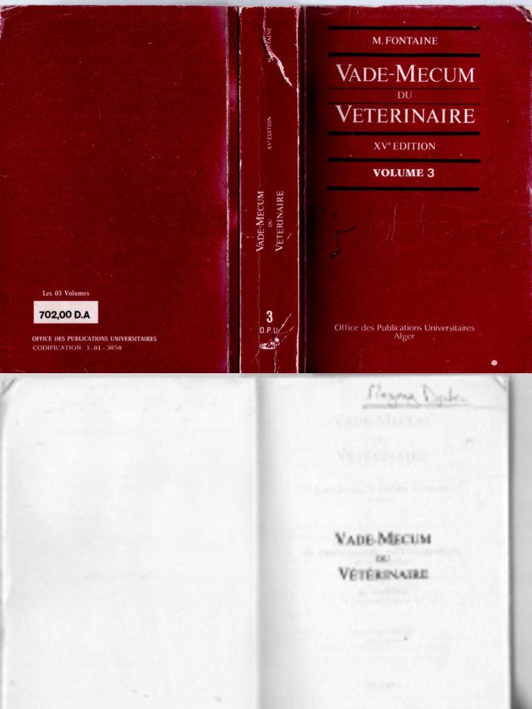 Vade Mecum 3 | PDF