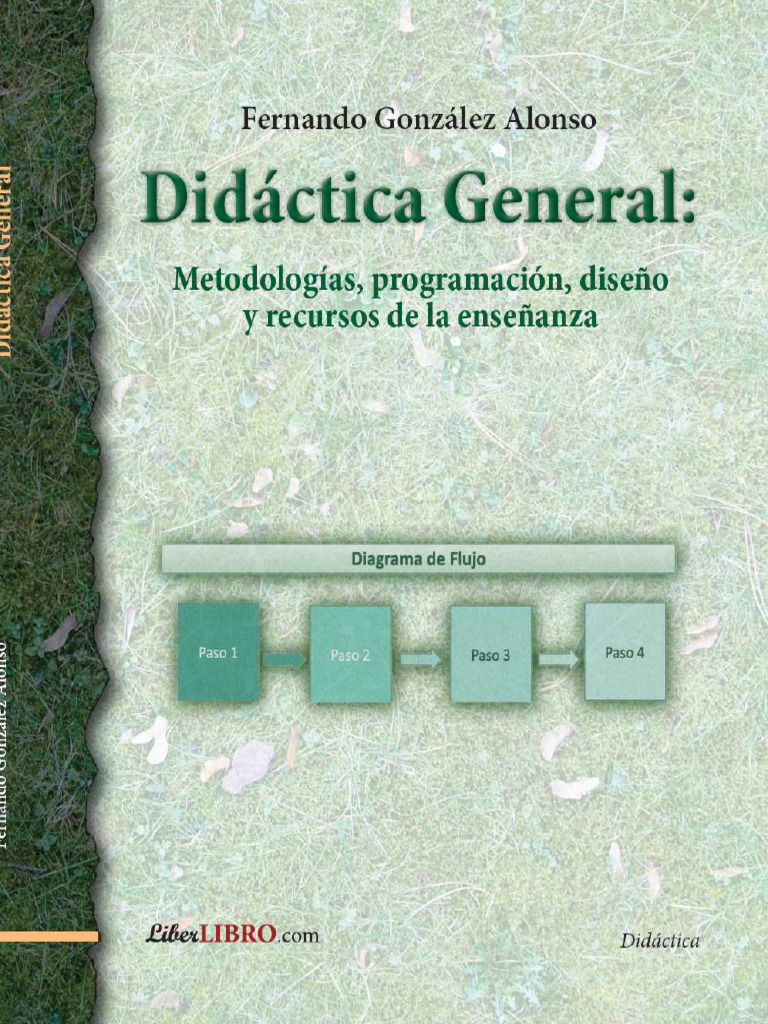 Didactica General Metodologias Programac | PDF