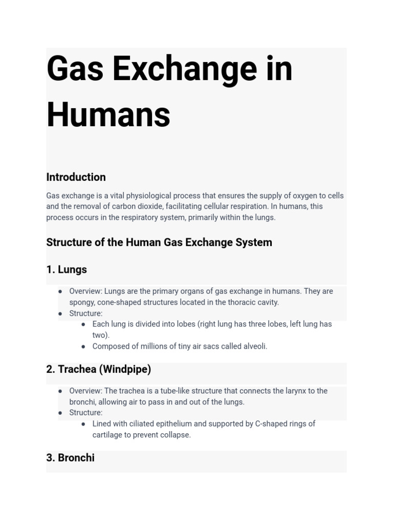 Gas Exchange in Humans (A Level) | PDF | Lung | Respiratory Tract