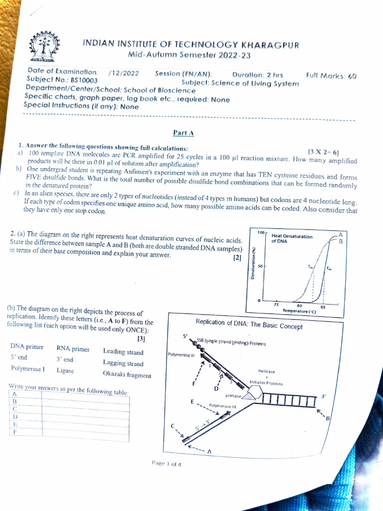 Bio Paper | PDF | Translation (Biology) | Messenger Rna