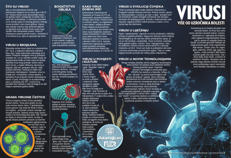 VIRUSI Final L | PDF