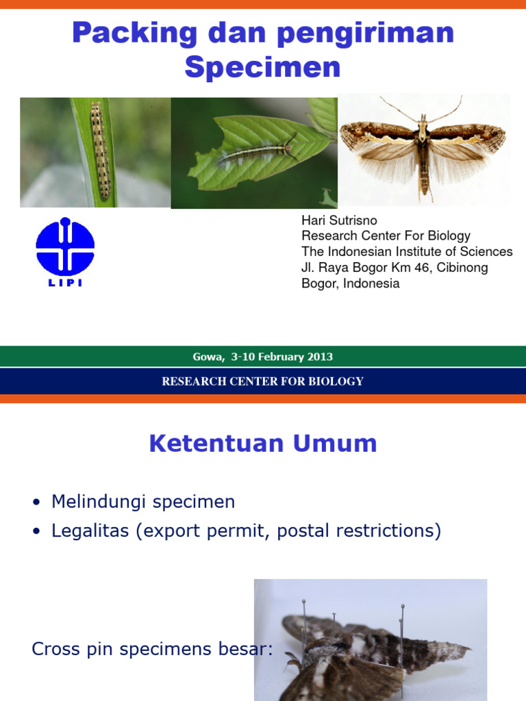 Panduan Pengemasan Specimen Entomologi | PDF