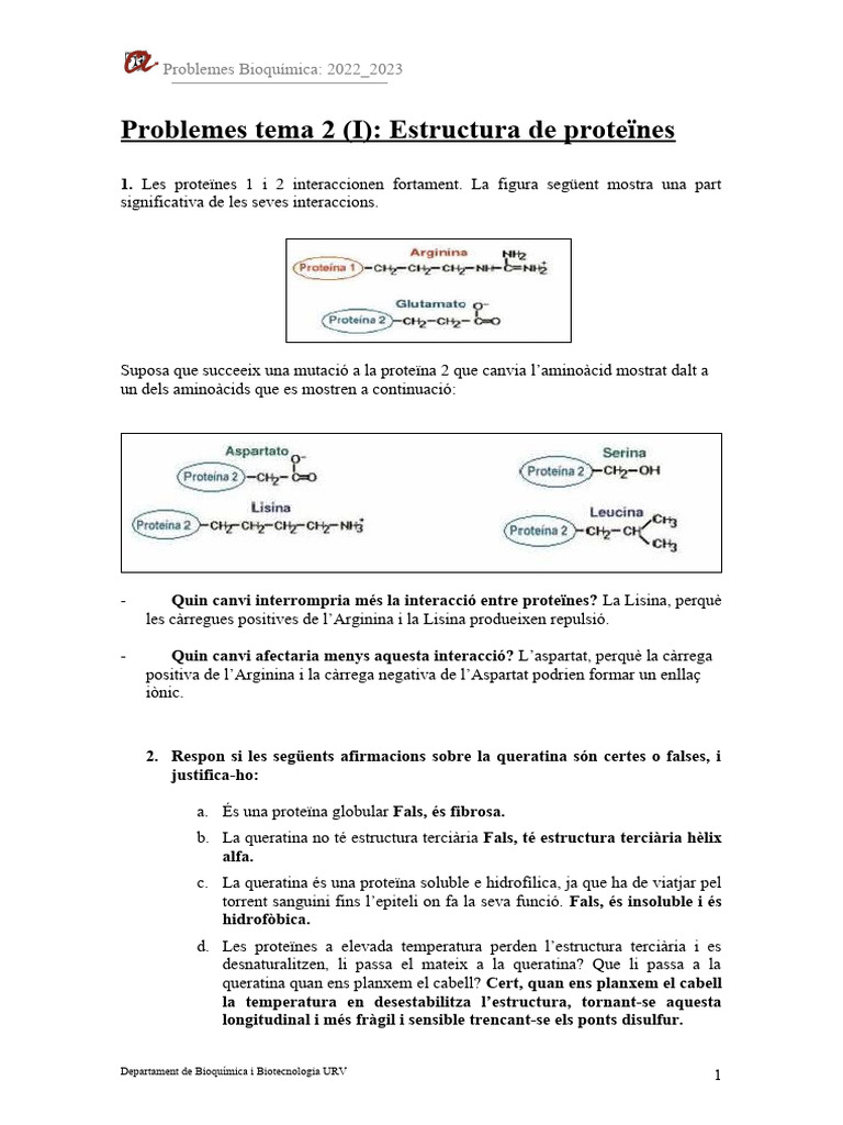 T2 (Full 1 - Estructura Proteïnes) Problemes | PDF