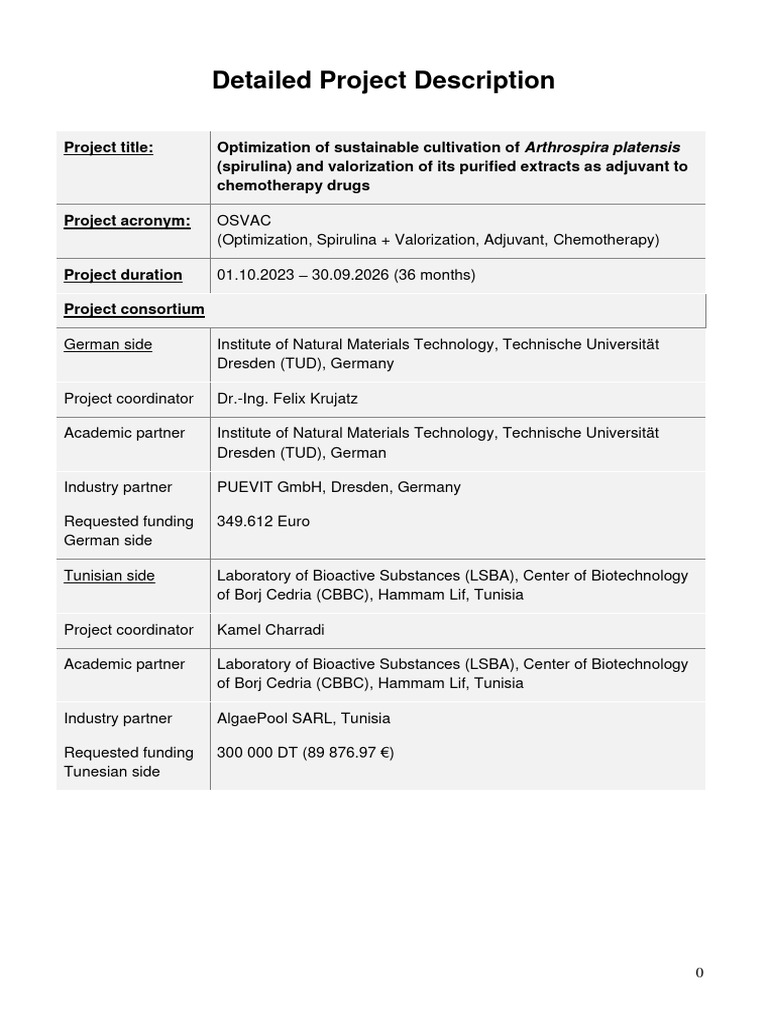 Tunger 2p2 2023 066 - Projektbeschreibung | PDF | Science & Mathematics