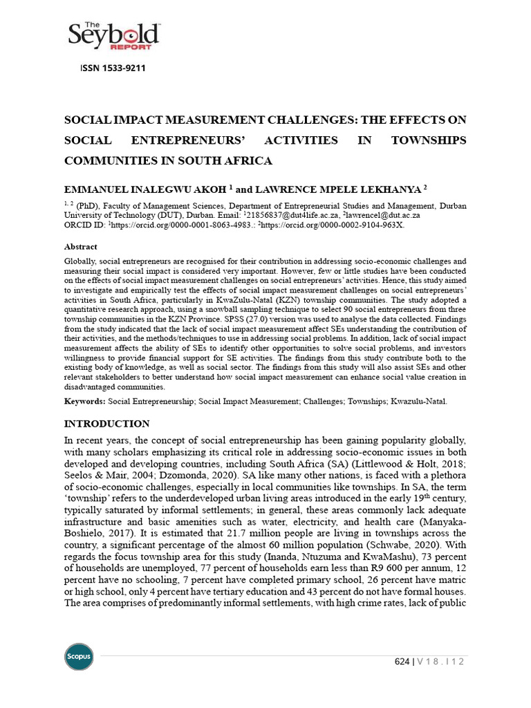 Social Impact Challenges in KZN Townships | PDF | Entrepreneurship ...