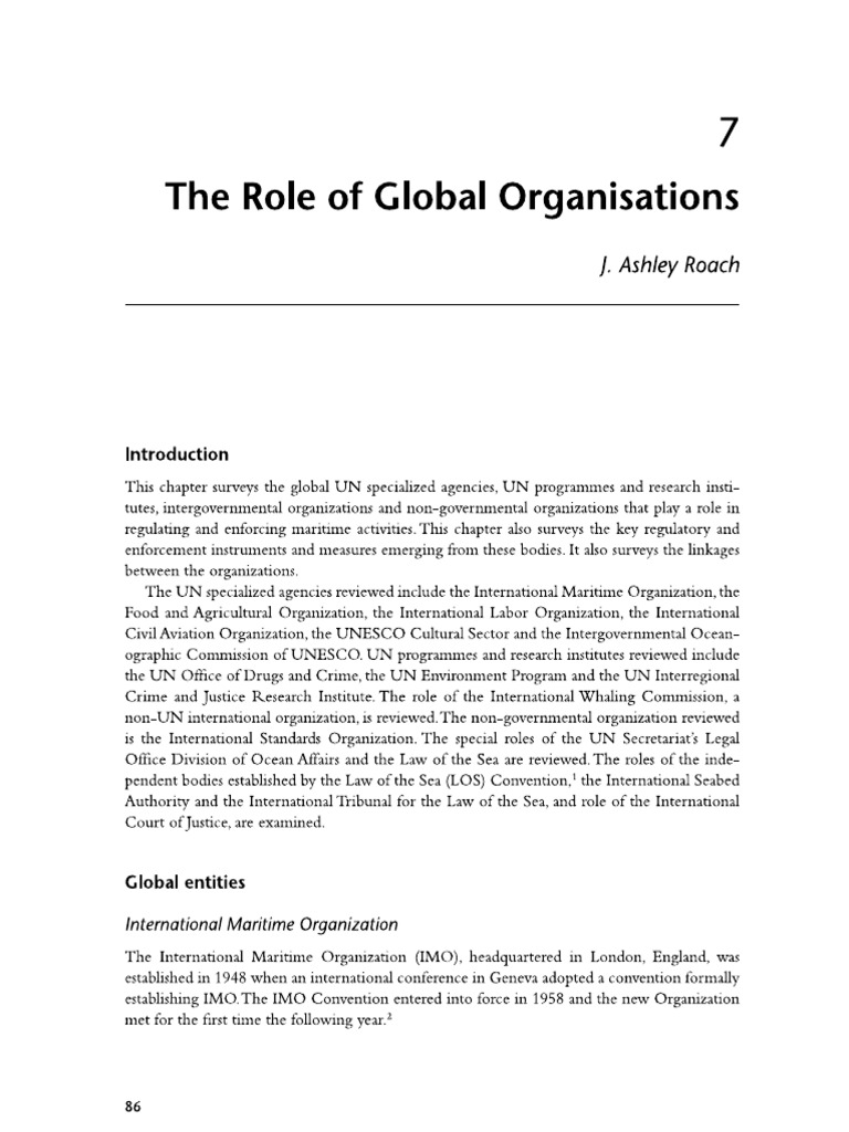 Tugas 1 The Role of Global Organization | PDF