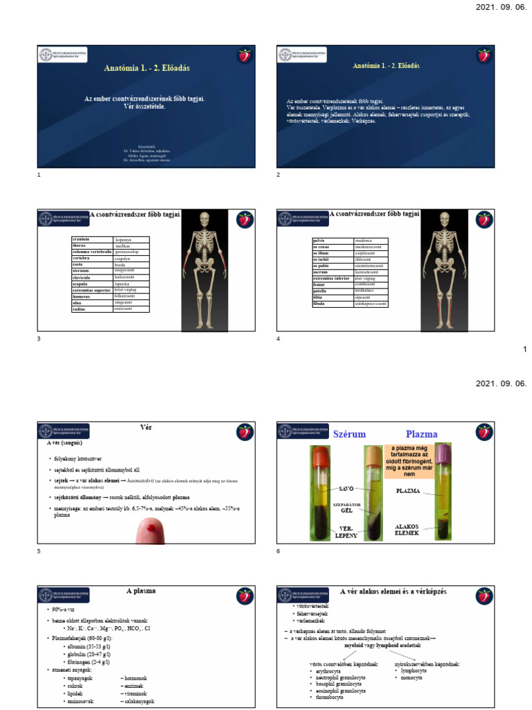 02 Fobb Csontok Ver | PDF