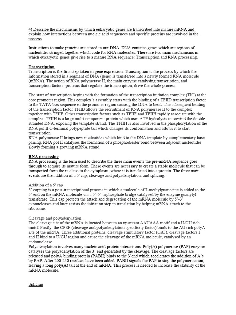 Question 4 Mol Base Gene Expression Exam 2021 | PDF