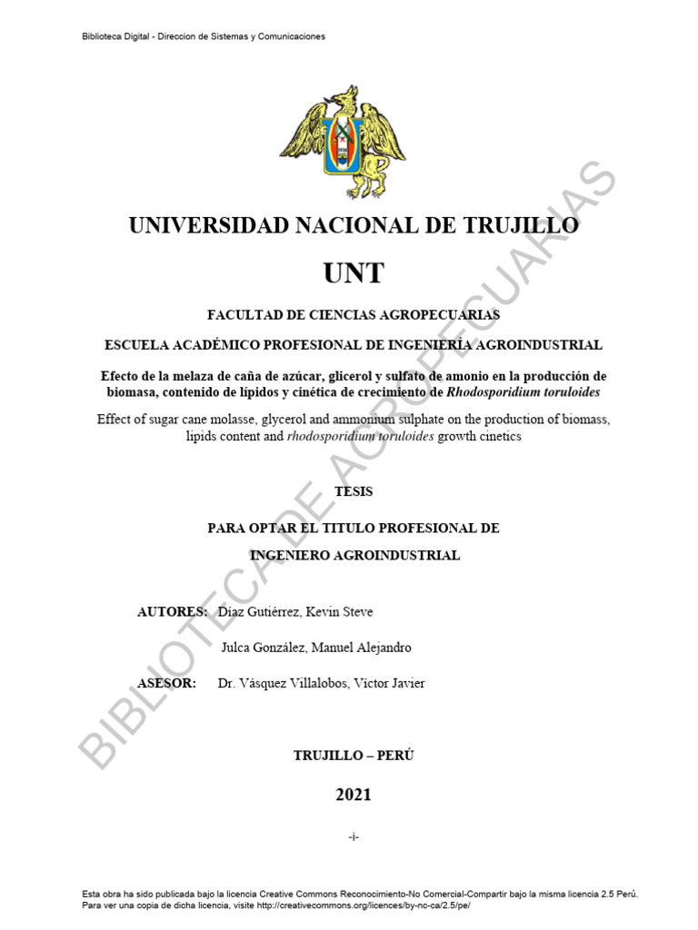 Díaz Gutiérrez, Kevin Steve-Julca González, Manuel Alejandro | PDF