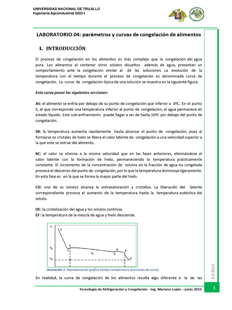 Curvas de Congelación de Alimentos | PDF | Congelación | Agua