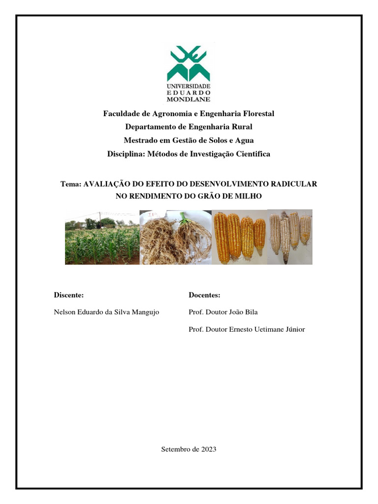 Avaliação Do Efeito Do Desenvolvimento Radicular No Rendimento Do Grão ...
