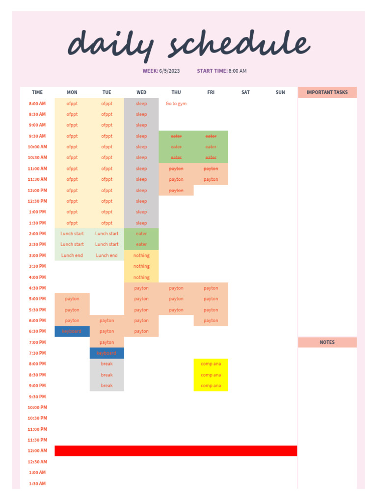 Daily Schedule | PDF