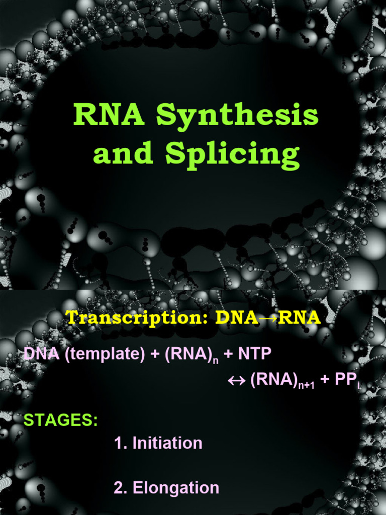 RNA Synthesis and Splicing | PDF | Rna Splicing | Rna