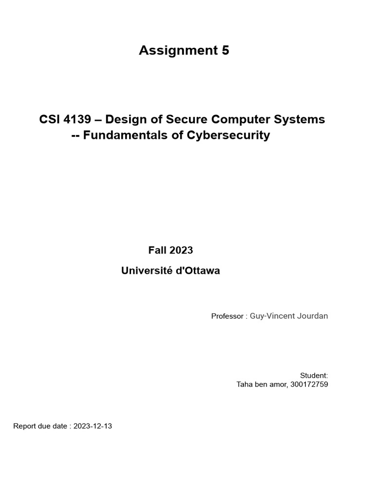 Web Security Vulnerabilities Report | PDF