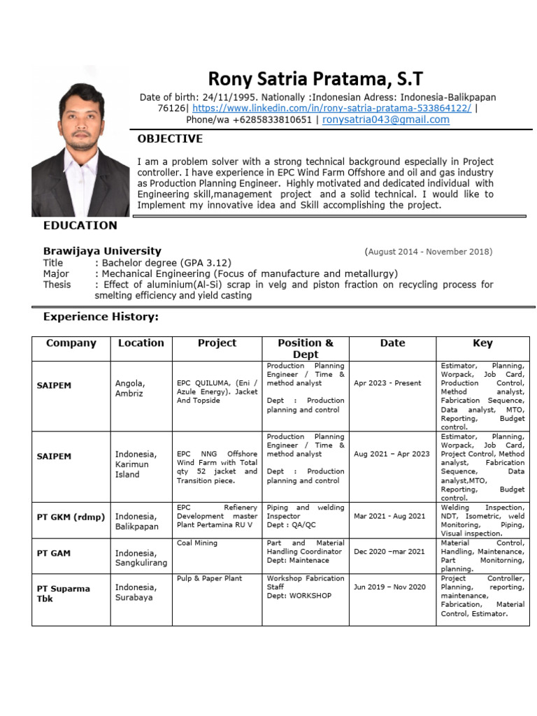 CV Rony Satria P | PDF | Technology & Engineering