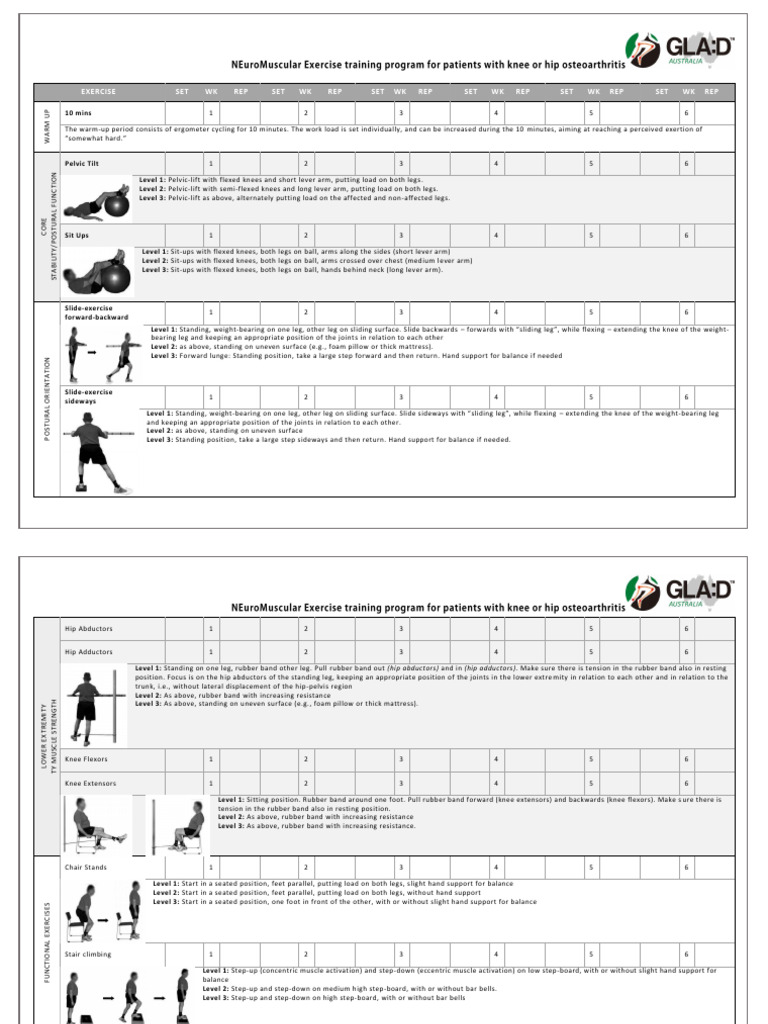 6 Week Exercise Log Sheet. | PDF
