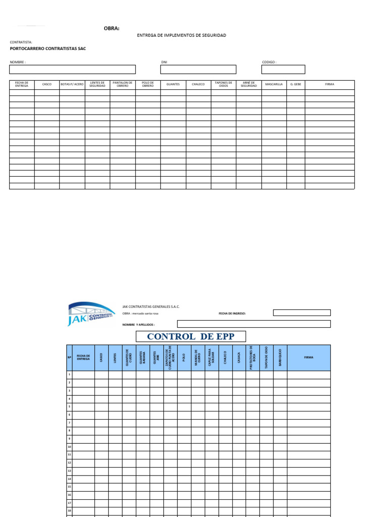 Formatode Control de Epp | PDF