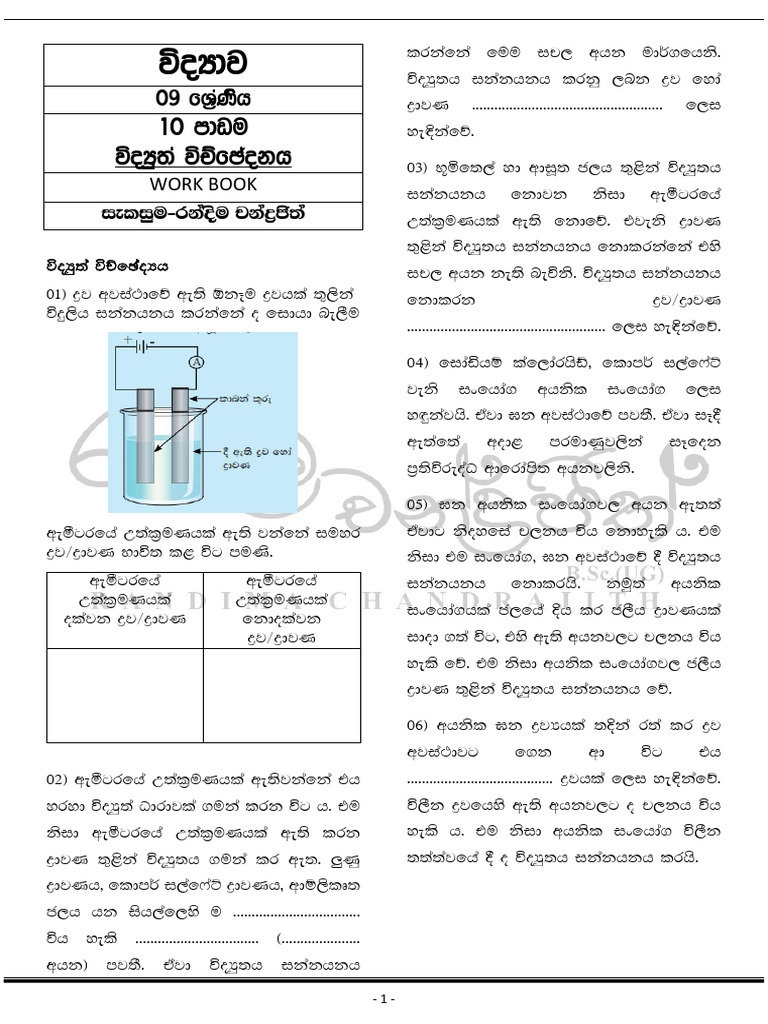 Garde 9 Science Term 2 WB 3 | PDF