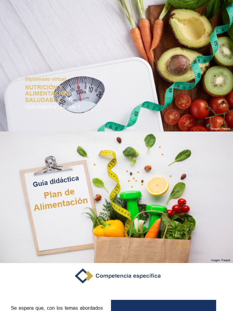 Nutrición y Alimentación Saludable | PDF | Alimentos | Caloría