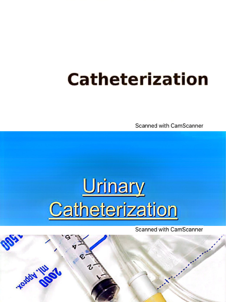 Pfumo Reropa Novel | PDF