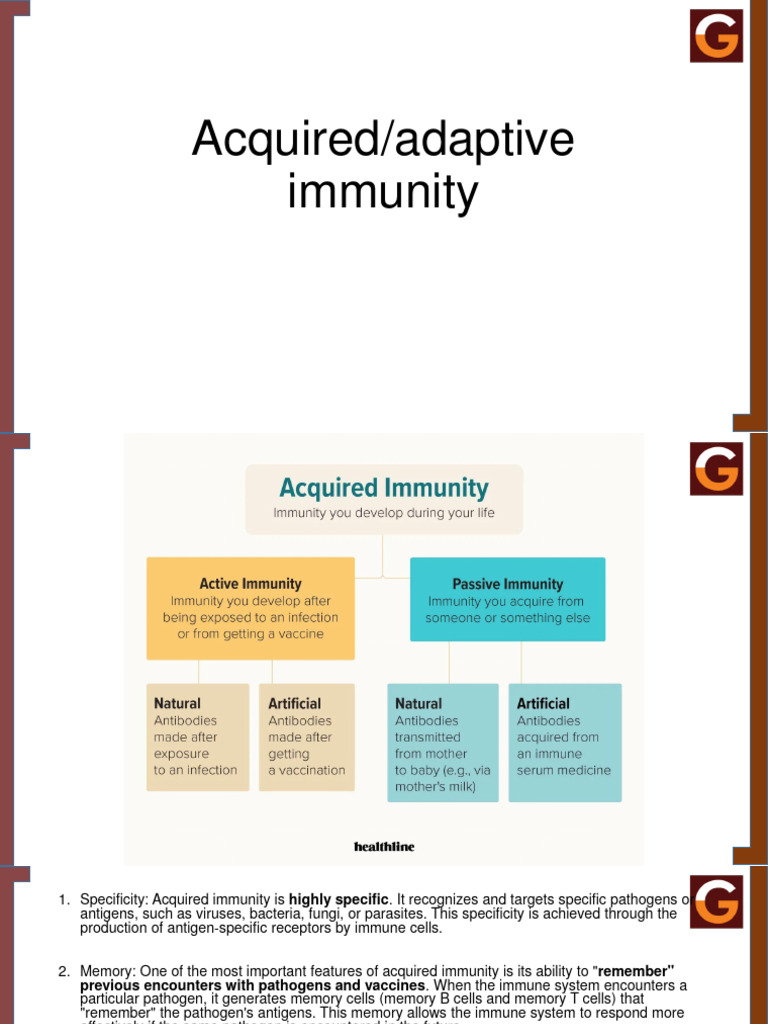 Understanding Acquired and Passive Immunity | PDF | Immune System ...