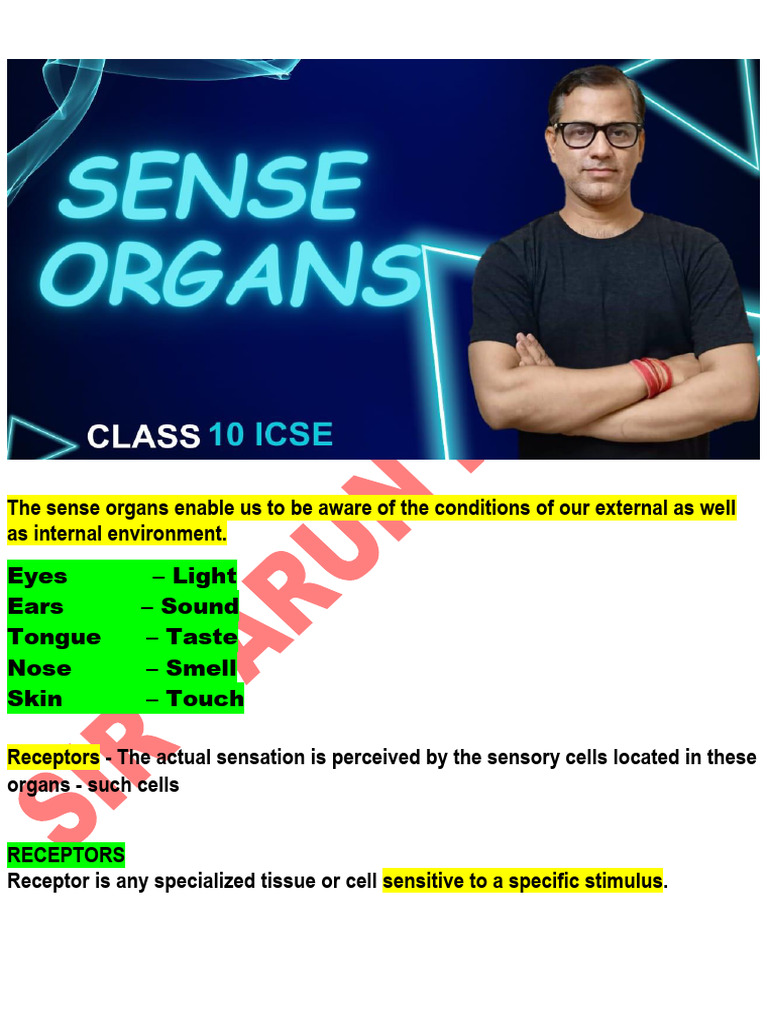 Sense Organs | PDF