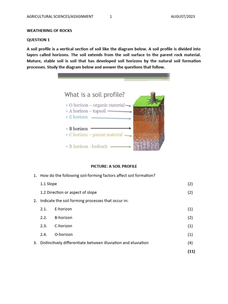 Research Project Grade 10 Agric-1 | PDF