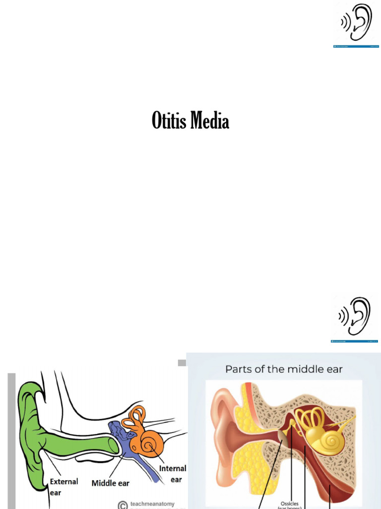 Otitis Media | PDF | Ear | Medical Specialties