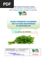 Culture Du Macabo | PDF | Fertilisant | Maïs