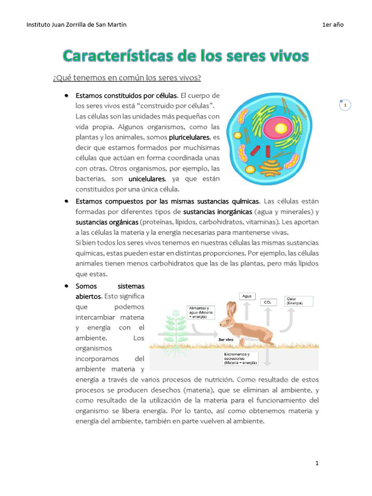 Características de Los Seres Vivos (1) | PDF | Organismos | Biología ...