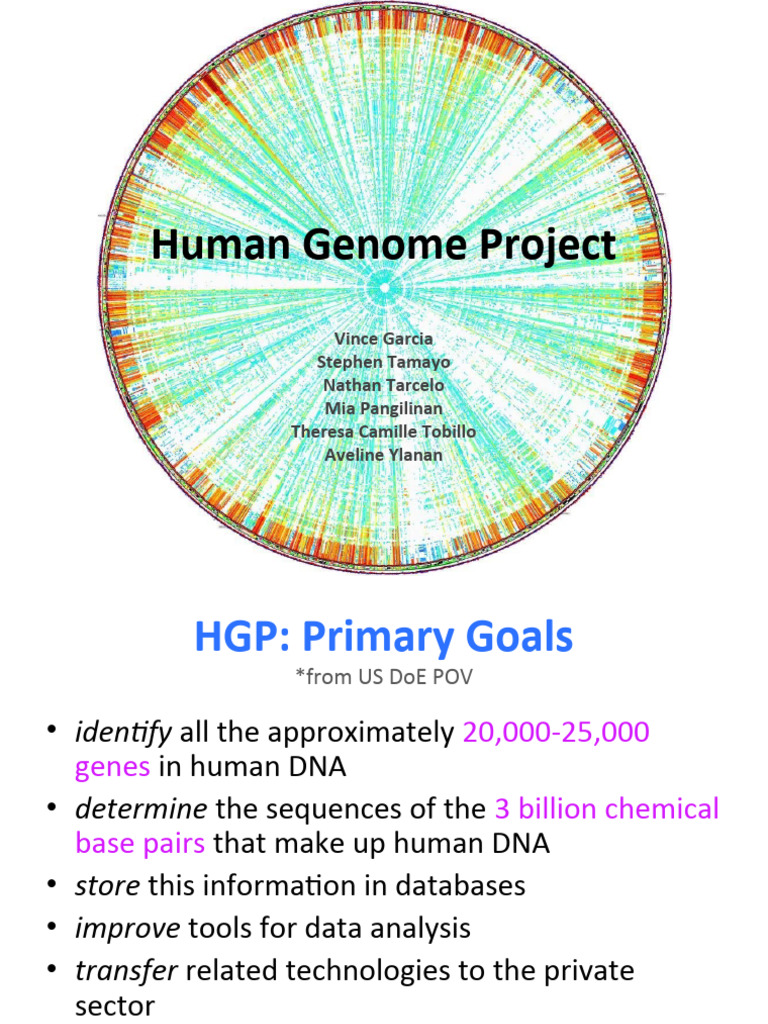 Human Genome Project | PDF | Dna Sequencing | Molecular Cloning