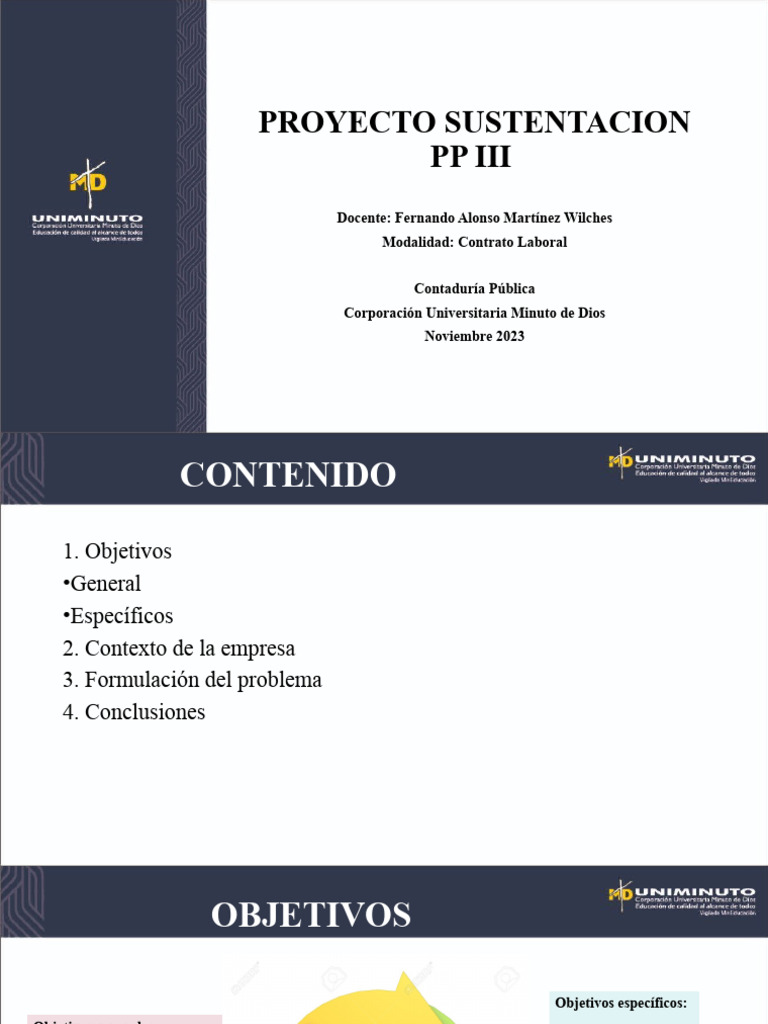 Sustentacion Práctica Profesional III | PDF