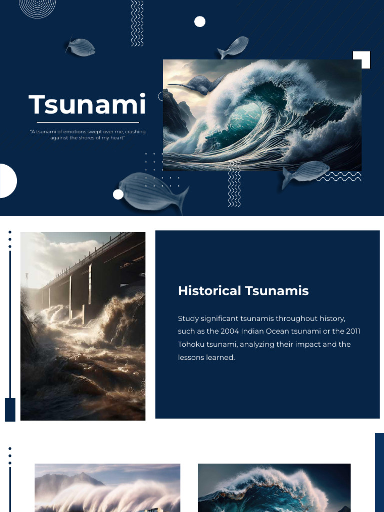 Tsunami | PDF