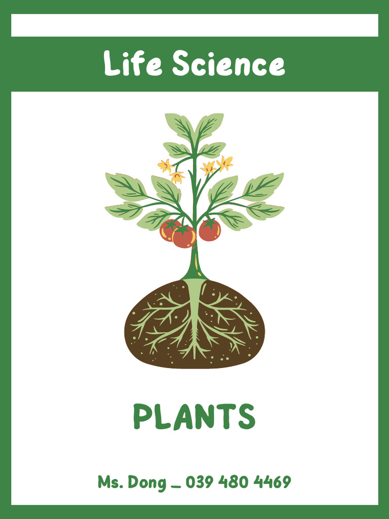 Parts and Needs of A Plant | PDF | Plants | Root