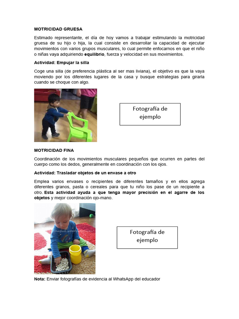 Actividades para Motricidad Gruesa y Fina | PDF