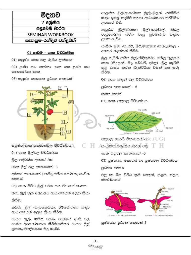 Grade 7 Science Seminar Workbook Term 1 | PDF | Foreign Language ...